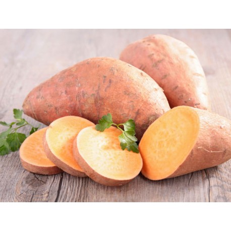 Patates douces BIO (au 500g) - Coop La Meute