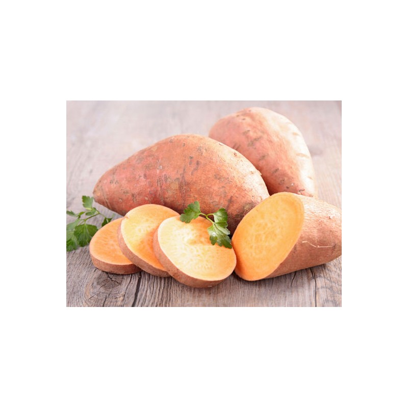 Patates douces BIO (au 500g) - Coop La Meute